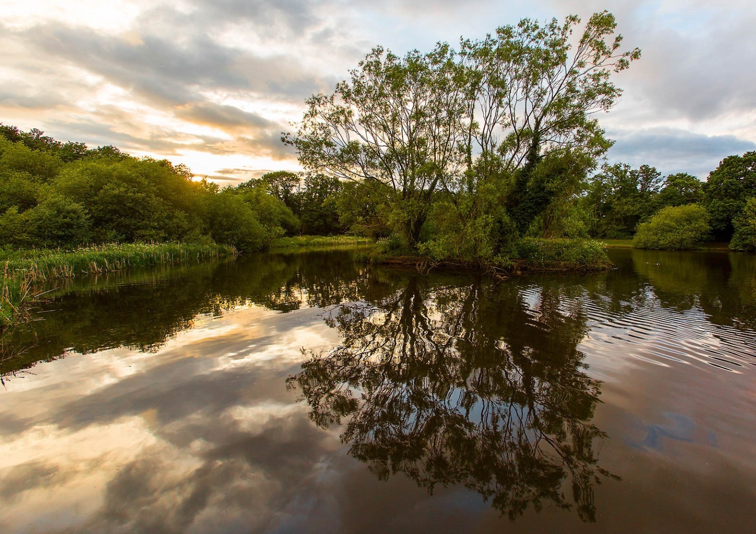 Rail to Trail walk - Blackwater Valley Countryside Trust