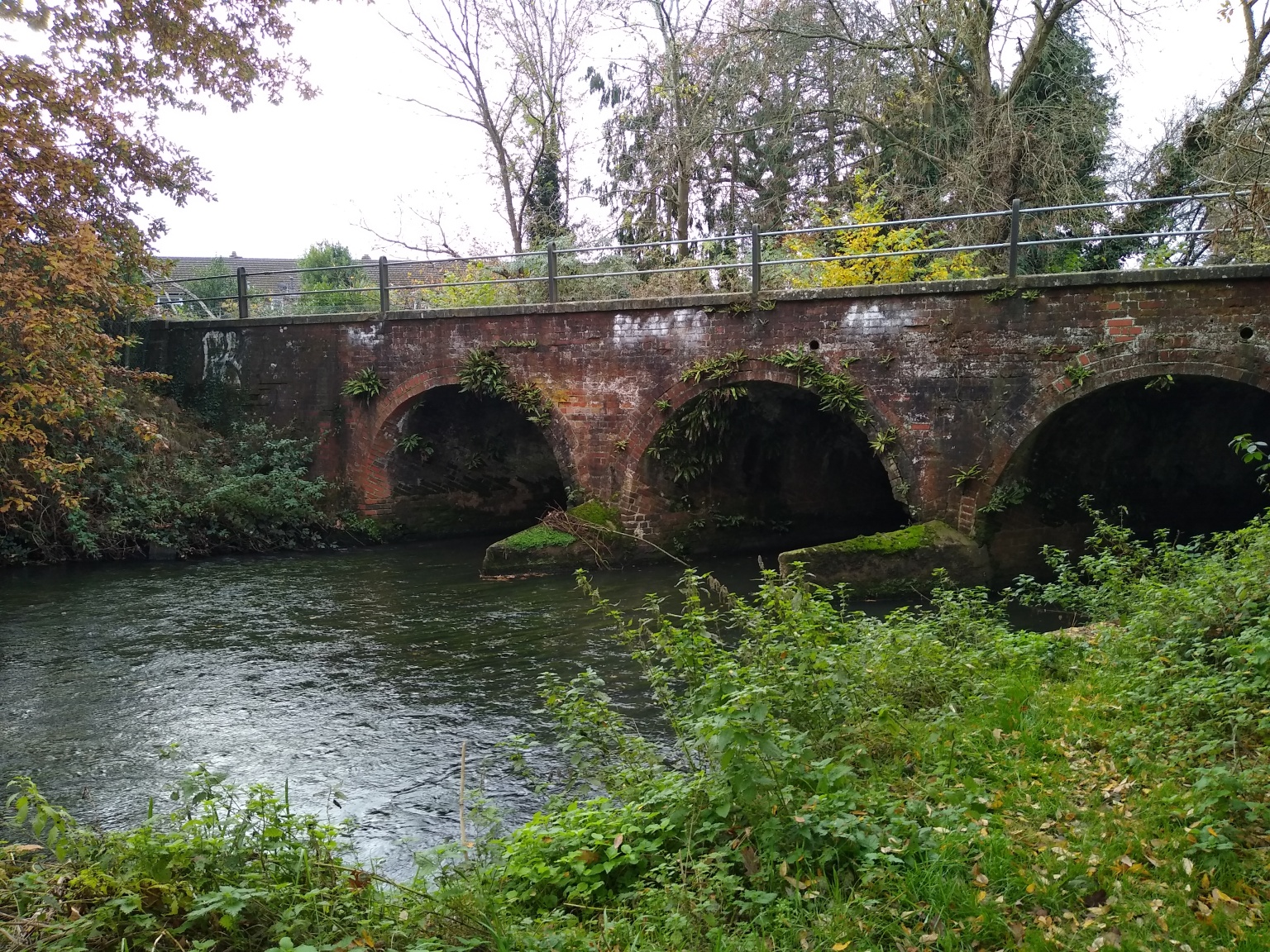 Explore the Blackwater Valley - Blackwater Valley Countryside Trust